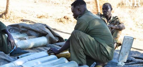 27 soldiers and 3 rebels dead in battle: SPLM-N | Radio Tamazuj