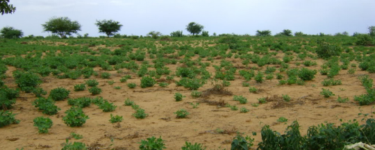 NBeG assembly form committee to investigate alleged ‘land grab’ | Radio ...