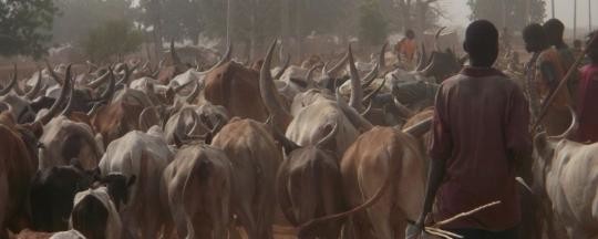 South Sudan government asks Misseriya nomads to leave Abyei | Radio Tamazuj