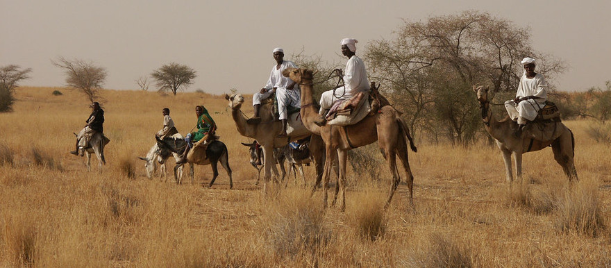 Peace conference between Rizeigat and Ma’alia begins in West Kordofan ...