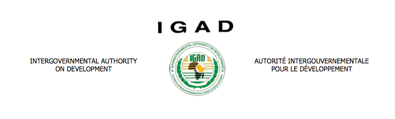 IGAD planning another summit on S. Sudan | Radio Tamazuj