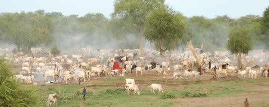 Maridi citizens returning to town not villages | Radio Tamazuj