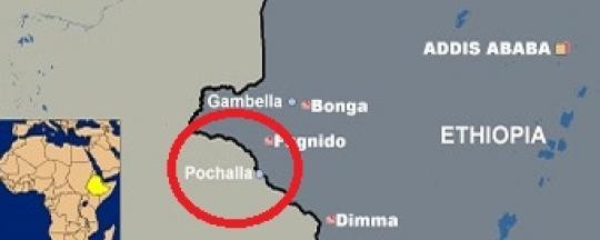 Food shortage in Greater Pibor's Pochalla as insecurity continues ...