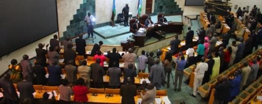 SPLM-IO says it will work to amend NGO Bill in transitional period | Radio Tamazuj