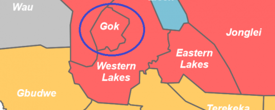 Gok state cabinet takes oath of office | Radio Tamazuj