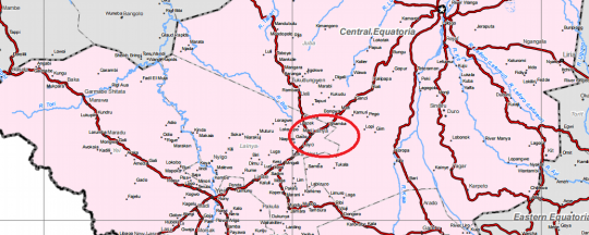 Over 18,000 IDP's need assistance in Lainya, official says | Radio Tamazuj