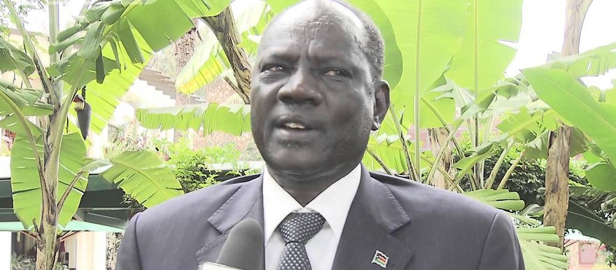 Information Minister Makuei lambasts neighbors for closing borders ...