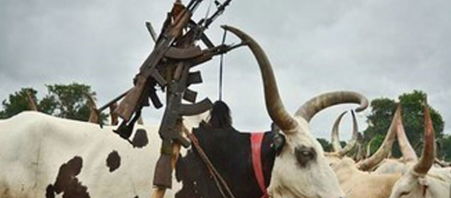 2 killed, 7 injured in Unity State cattle raid | Radio Tamazuj