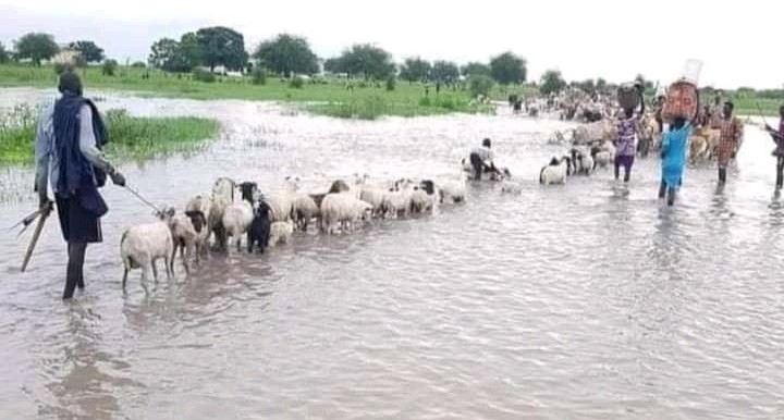 9 reported dead as devastating floods ravage Rubkona County | Radio Tamazuj