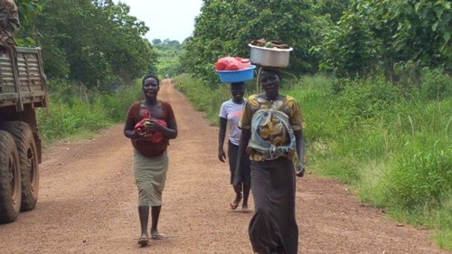 Lasu Payam residents decry rampant insecurity | Radio Tamazuj