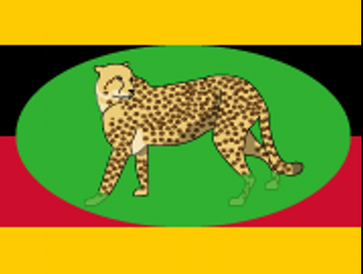 E. Equatoria: Newly appointed MP declines nomination on SPLM-IO ticket ...