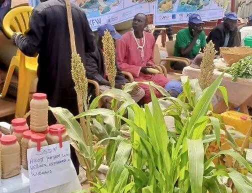 Lakes State: Gov't calls on partners to support agriculture | Radio Tamazuj