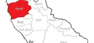 Detained Ayod officials released | Radio Tamazuj