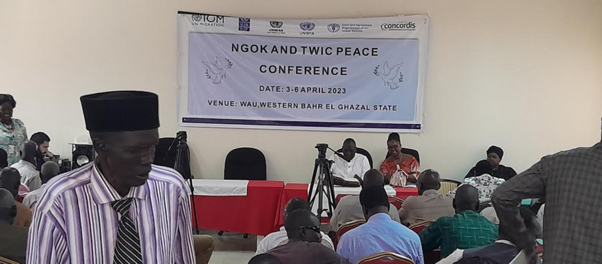4-day peace conference between Ngok Dinka and Twic underway in Wau ...
