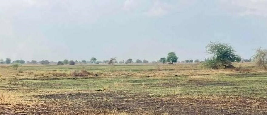 Warrap state to revive rice scheme | Radio Tamazuj