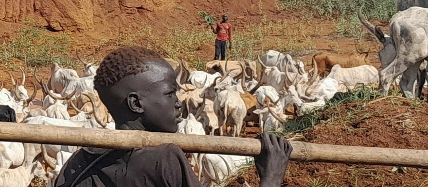Cattle keepers leaving Mundri | Radio Tamazuj