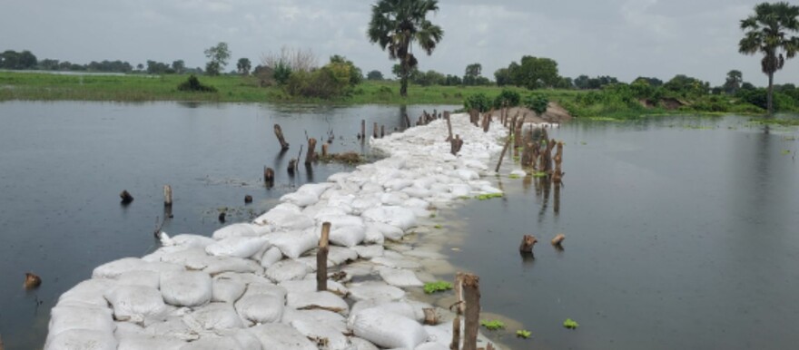 Bor leaders concerned about fresh displacement as dyke break | Radio ...