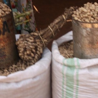 Food prices rise in Kadugli, South Kordofan | Radio Tamazuj