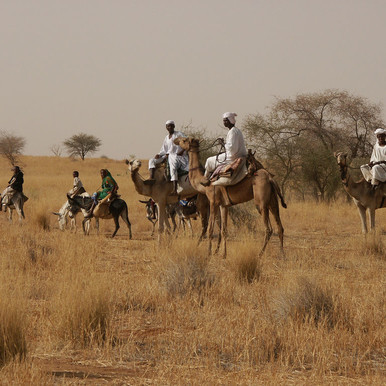 Peace conference between Rizeigat and Ma’alia begins in West Kordofan ...