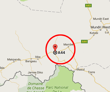 Sudanese trader killed in Maridi State | Radio Tamazuj
