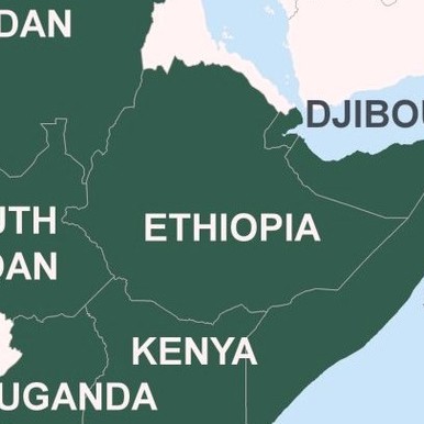 IGAD countries to formulate response plan for coronavirus | Radio Tamazuj