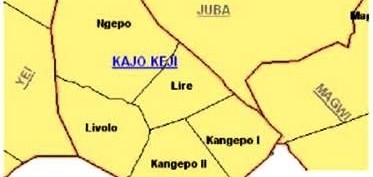 Yellow fever cases identified in Kajo-Keji | Radio Tamazuj